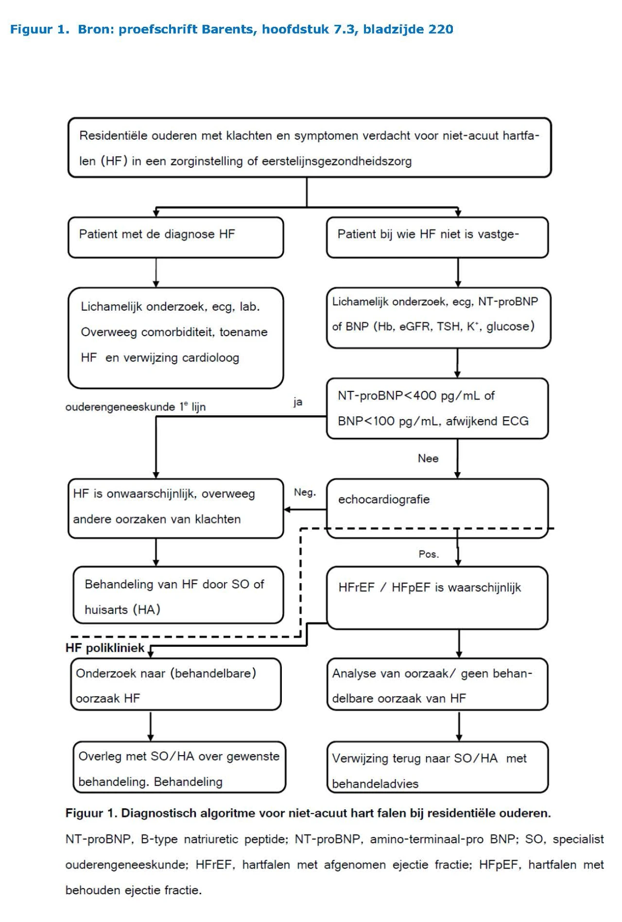 Hartfalen bij ouderen | Verenso