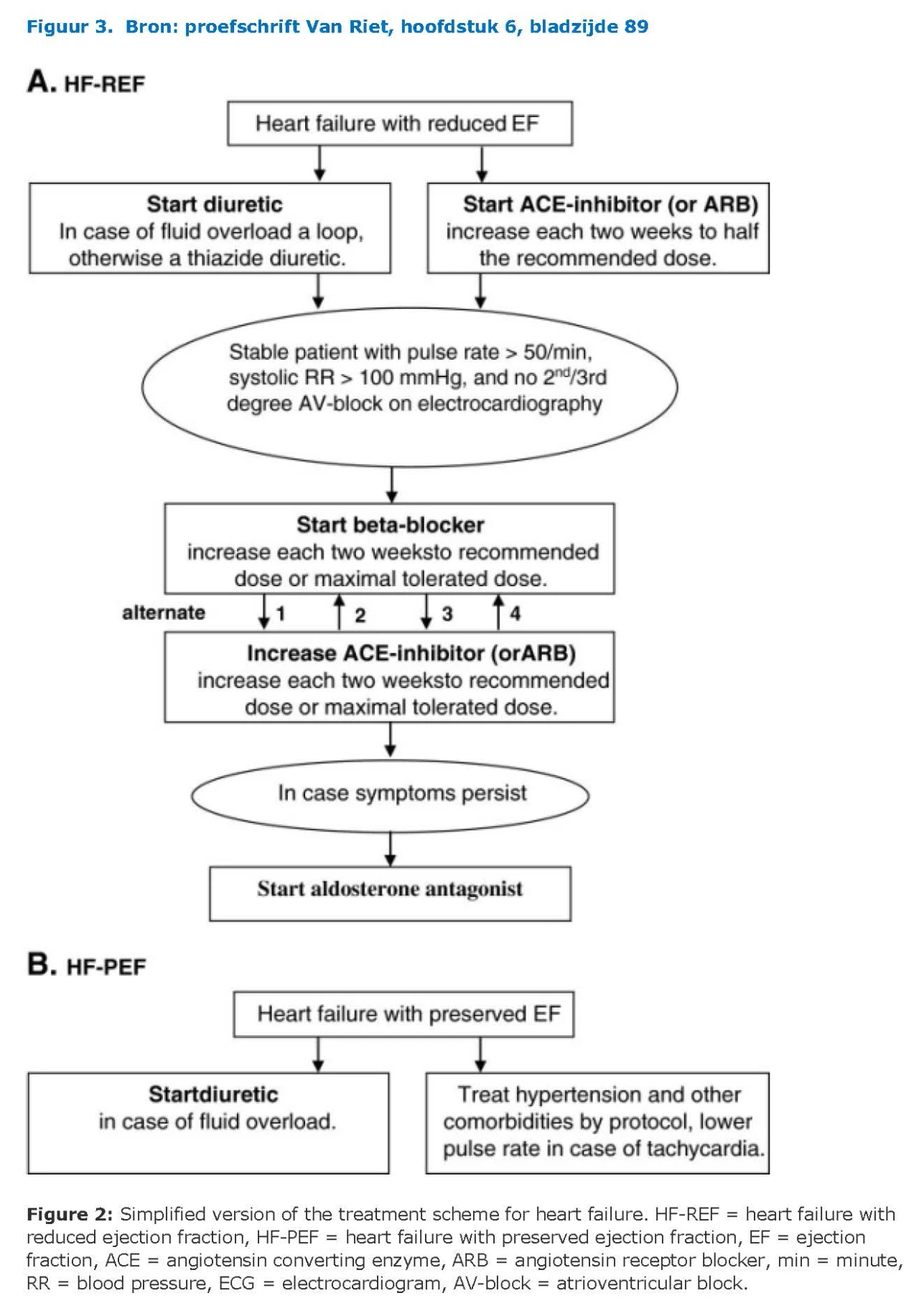 Hartfalen bij ouderen | Verenso